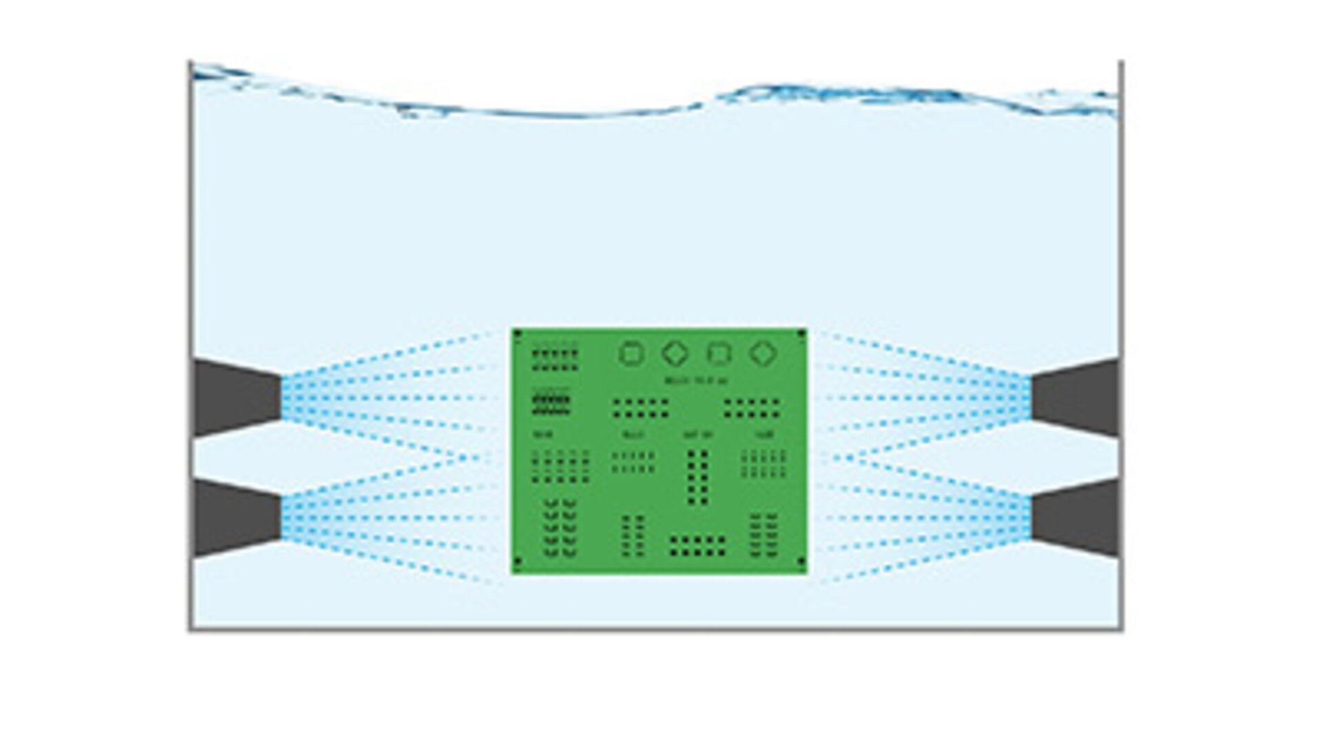 tauchreinigung - Fact Checks