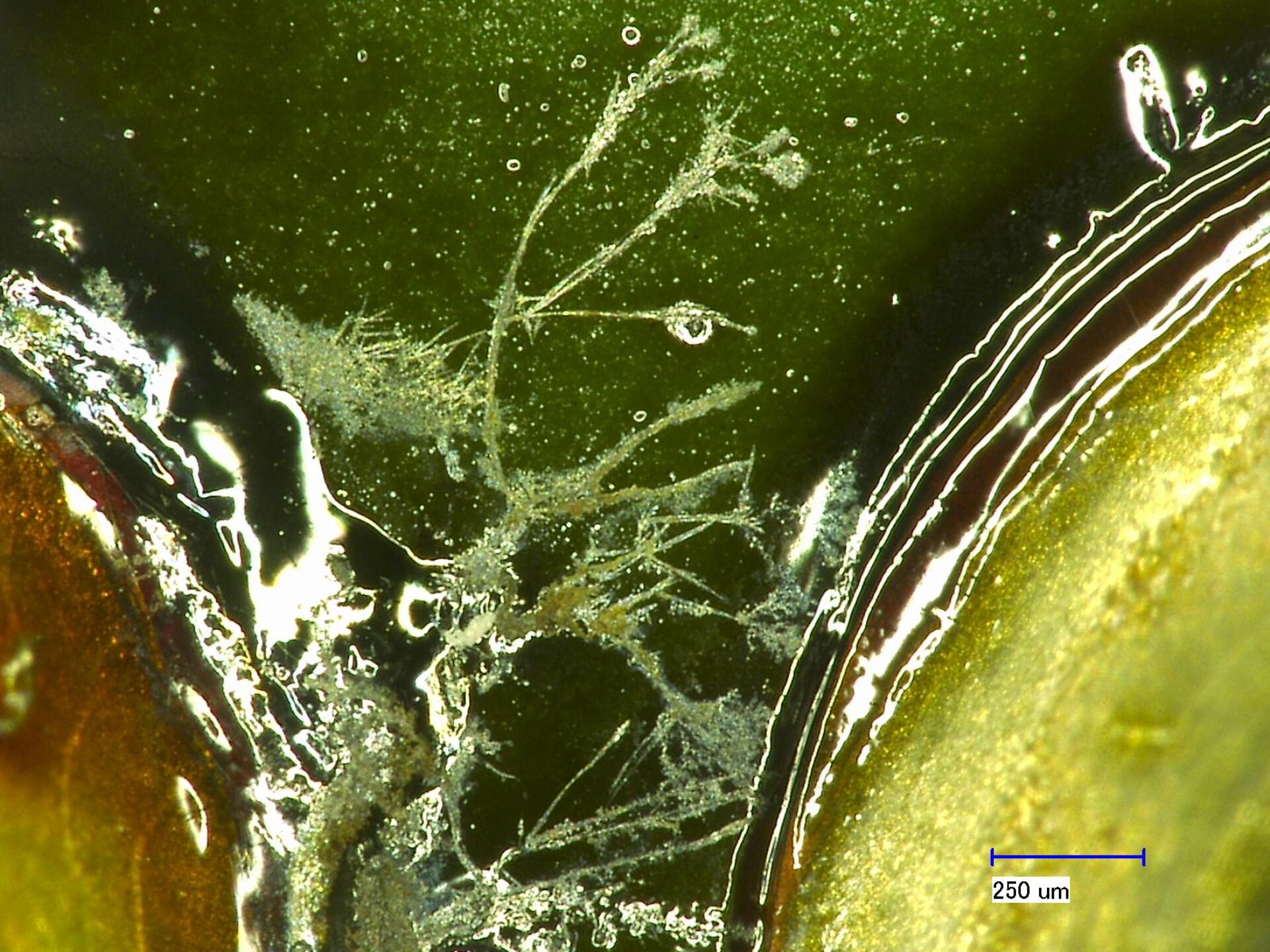 Ionic Contamination Tests for PCBs - ZESTRON