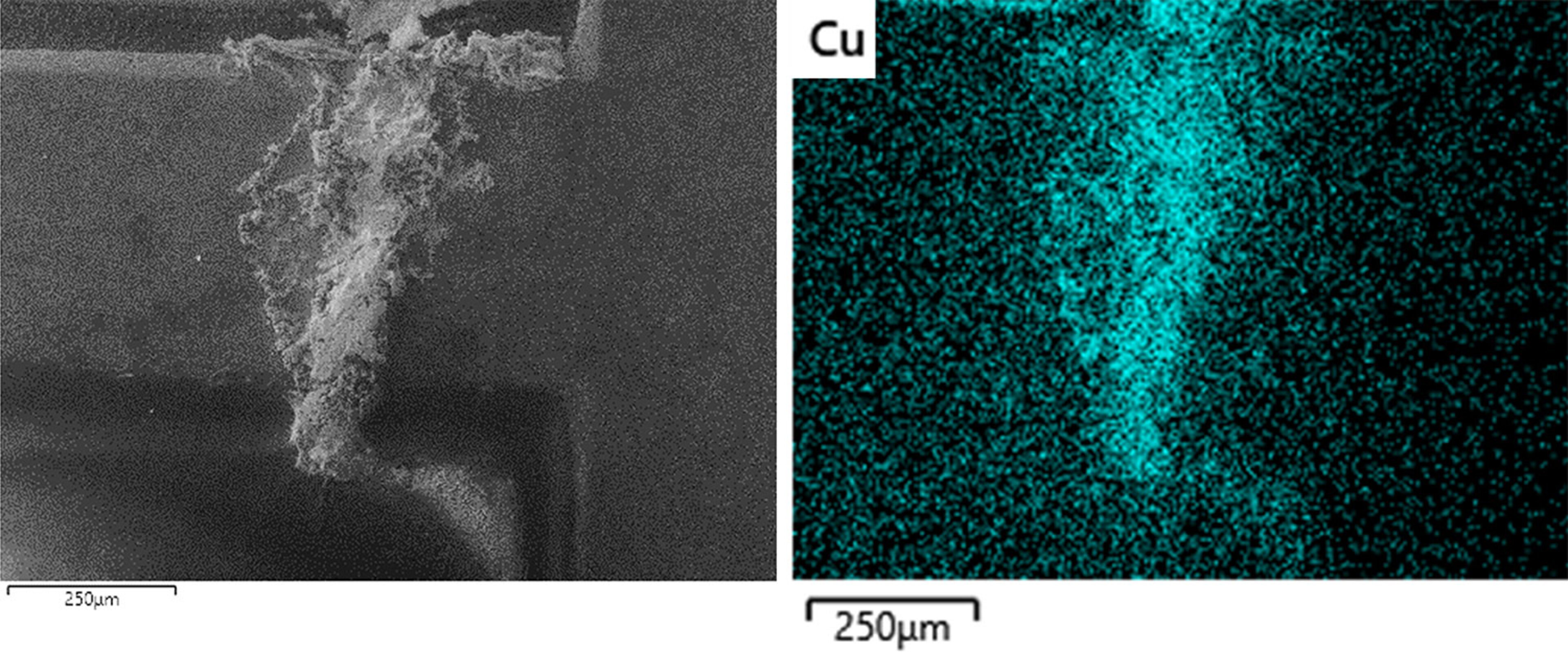 Electrochemical Migration: Causes, Effects & Solutions - ZESTRON