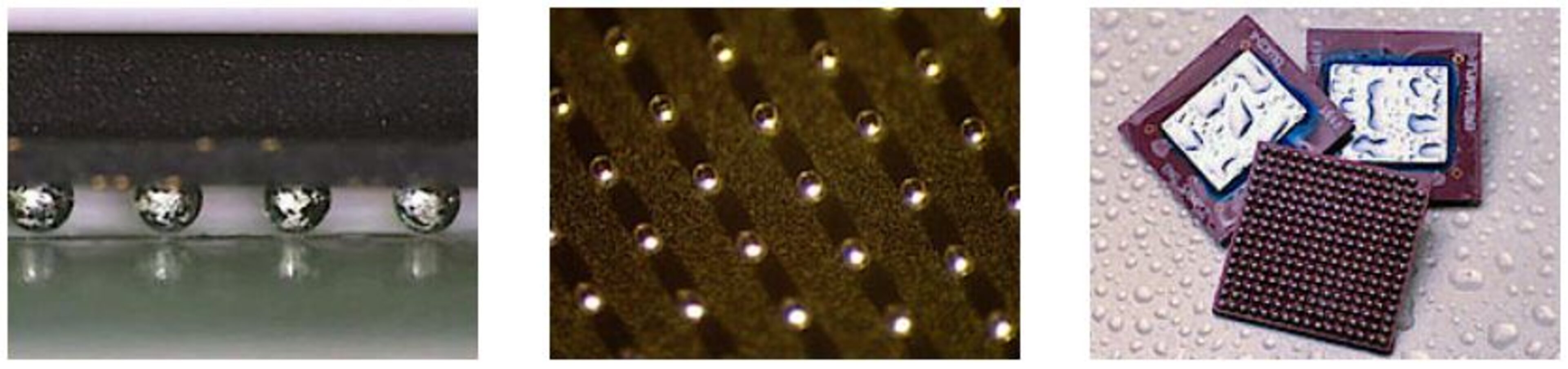 パッケージ洗浄 - 製品情報lゼストロンジャパン